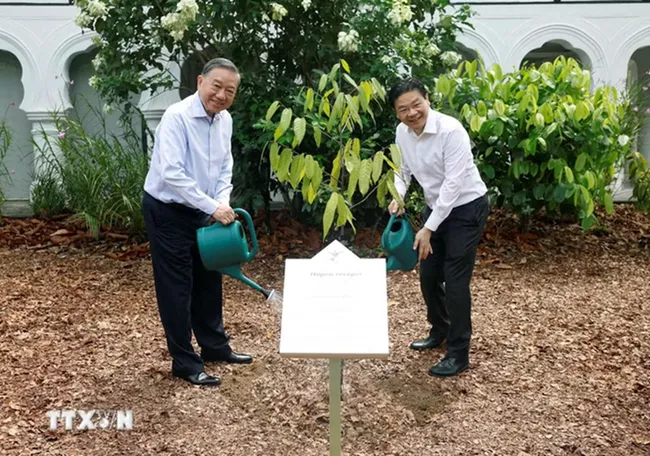 Vietnam's top leader, Singapore PM plant tree at Singapore Botanic ...