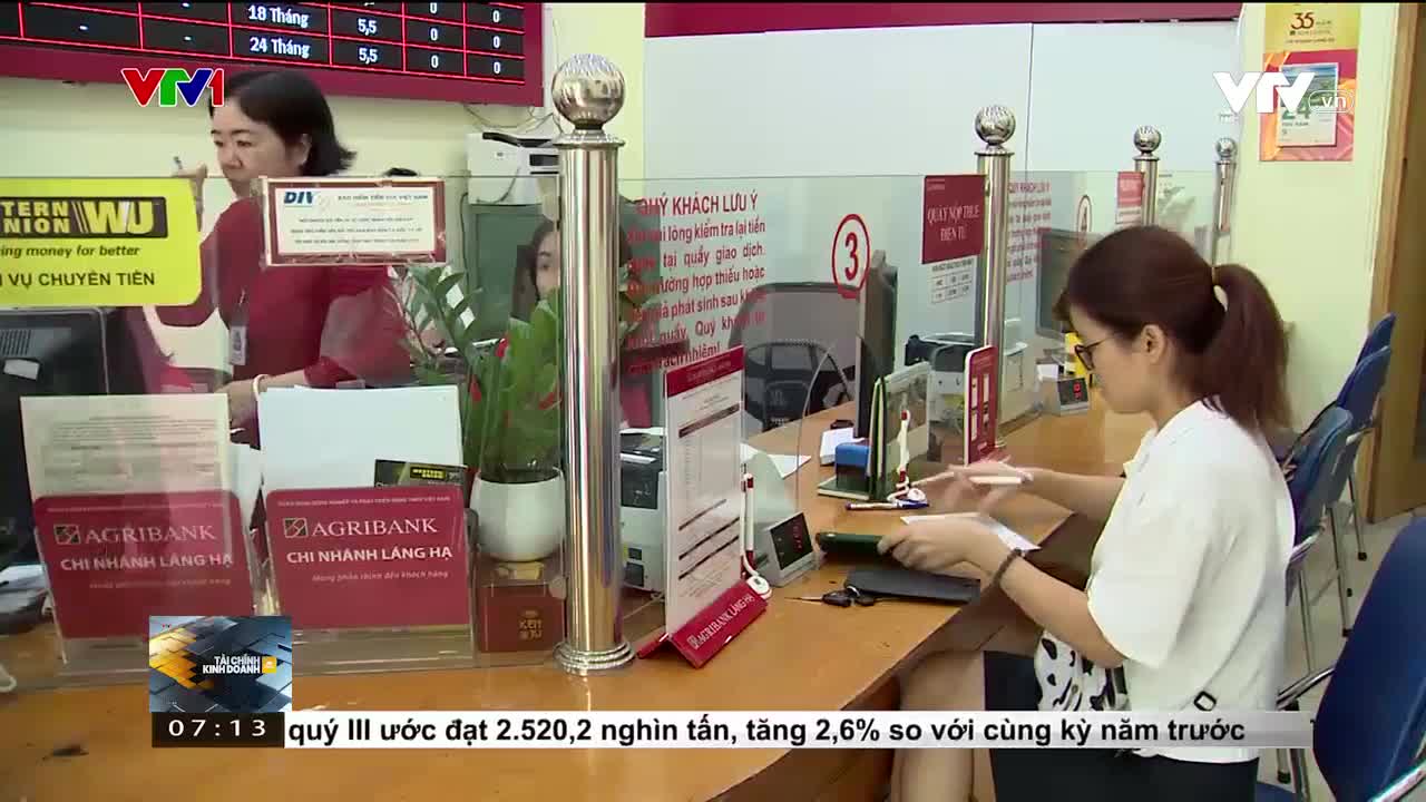 Ngân hàng tìm cách đa dạng các nguồn vốn trung, dài hạn - Video đã phát ...