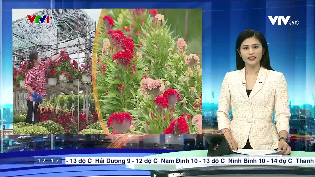 Thời sự 12h VTV1 - 24/01/2024 - Video đã phát trên VTV1 | VTV.VN