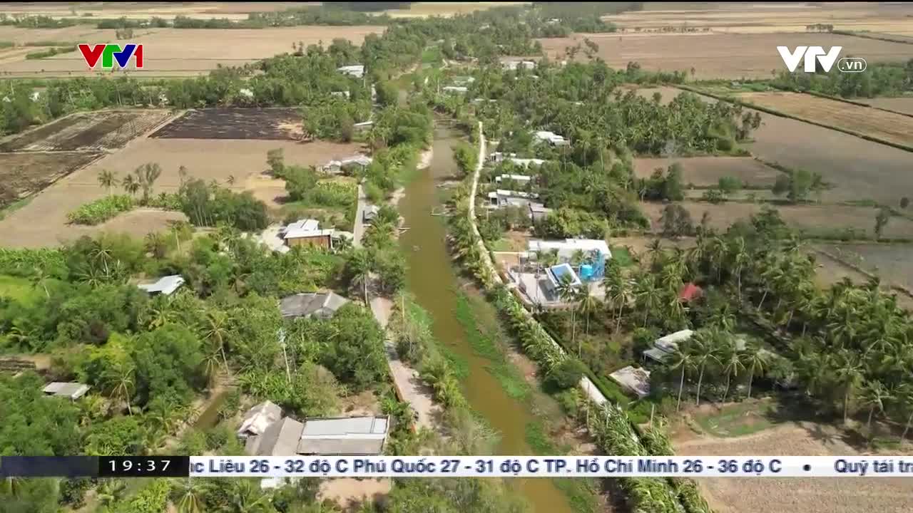 Thời sự 19h VTV1 - 11/3/2024 - Video đã phát trên VTV1 | VTV.VN