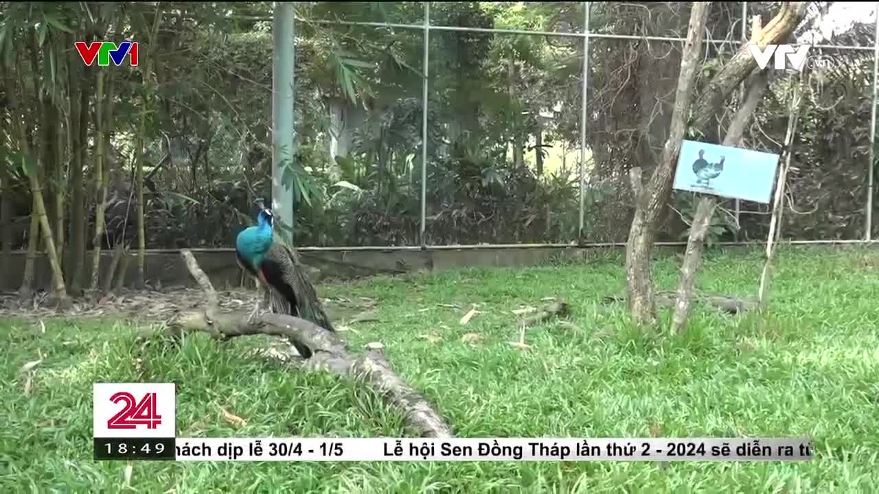 Chuyển động 24h tối - 27/4/2024 - Video đã phát trên VTV1 | VTV.VN