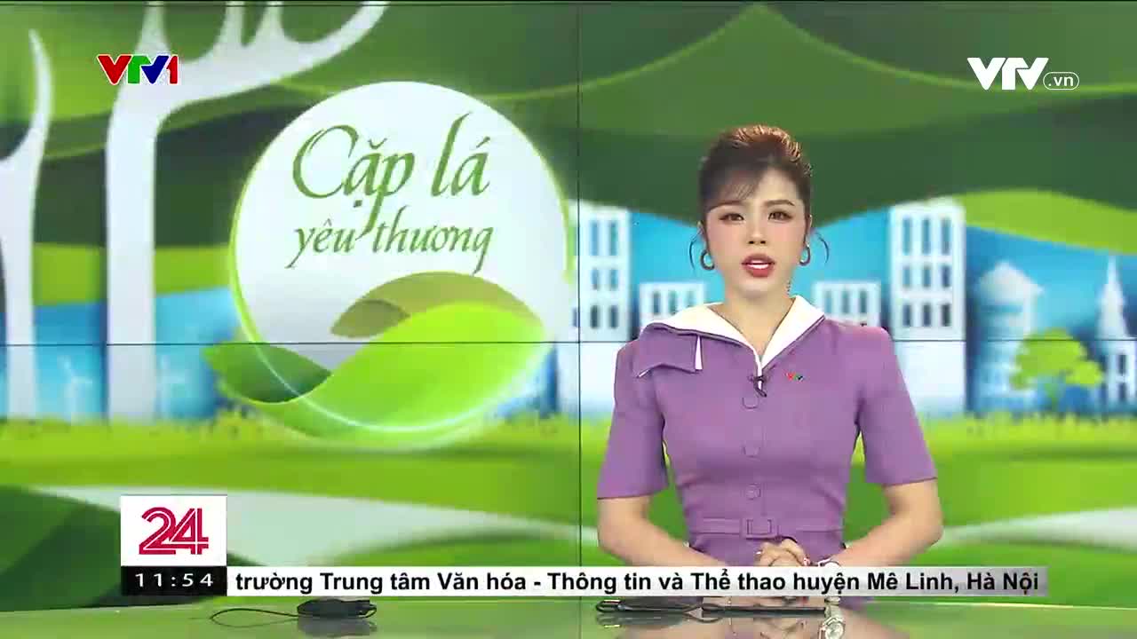 Chuyển động 24h trưa - 29/5/2024 - Video đã phát trên VTV1 | VTV.VN
