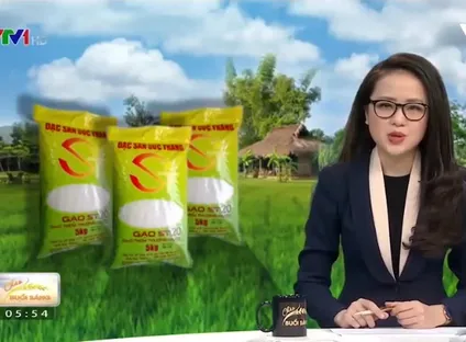 Vietnam’s ST24 rice in top 3 best rice varieties in the world | VTV