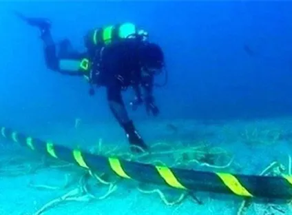 Vietnam needs at least 2-3 more undersea cable routes: official | VTV