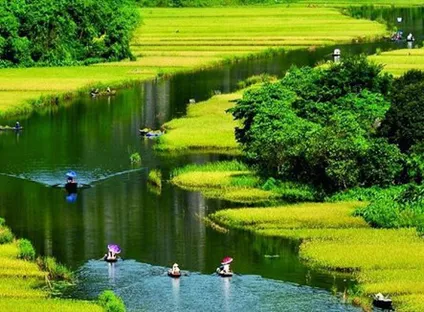 Red River Delta provinces move to promote agritourism | VTV