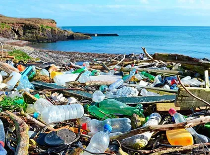 Reducing plastic waste towards green tourism | VTV