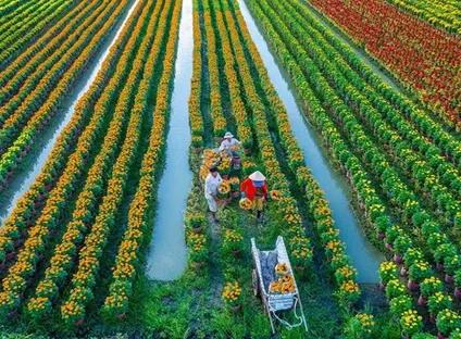 Development strategy of rural occupations and economic development ...