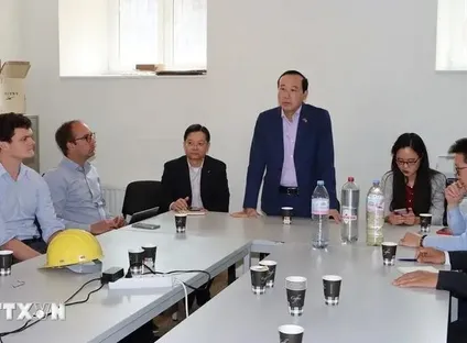 Vietnam, Belgium look to boost renewable energy cooperation | VTV