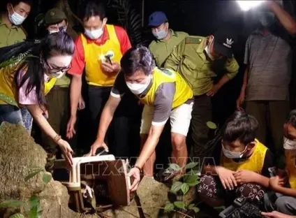 HCM City's travel companies light up new spring tours | VTV