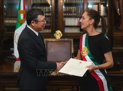 Vietnamese Ambassador presents credentials to Mexican President | VTV