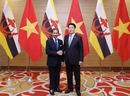Vietnam, Brunei issue joint statement | VTV
