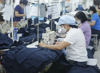 Programme aims to support 25,000 businesses, cooperatives in ...