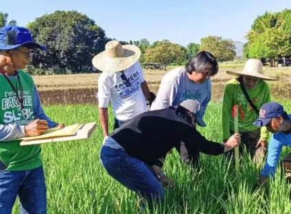 Vietnam, Philippines further boost cooperation in food security | VTV