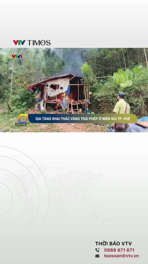 Gần 300 ha lúa sắp thu hoạch ở Đắk Lắk bị đổ | Shorts Video