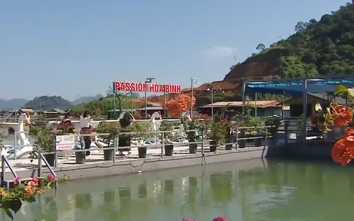 nhà hàng: Tin tức, hình ảnh, video mới nhất nhà hàng