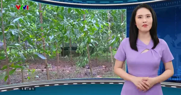 Trái đất xanh - 19/7/2024