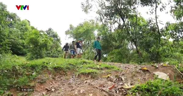 Trái đất xanh - 11/8/2024