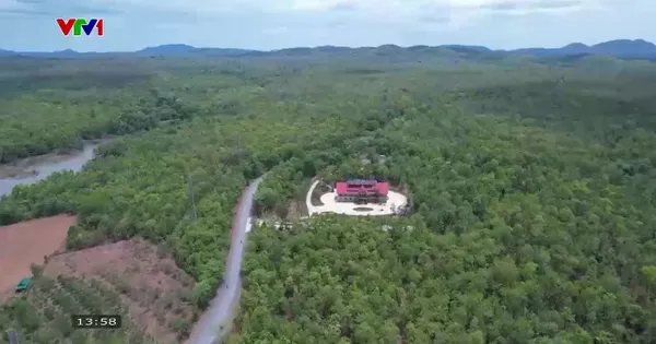 Trái đất xanh - 13/8/2024