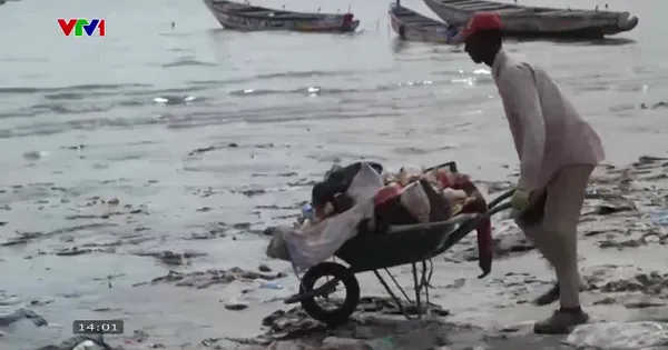 Trái đất xanh - 24/10/2024