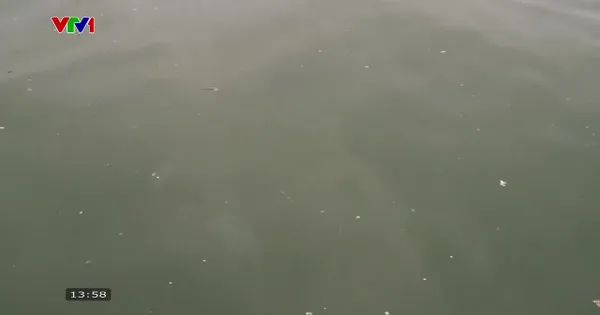 Trái đất xanh - 25/10/2024