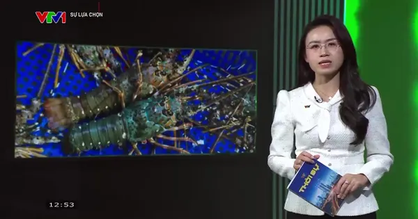 Sự lựa chọn - 26/10/2024