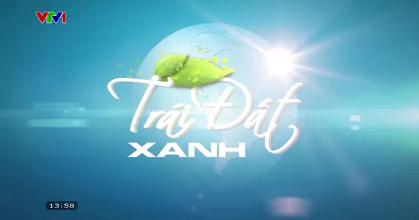 Trái đất xanh - 15/11/2024