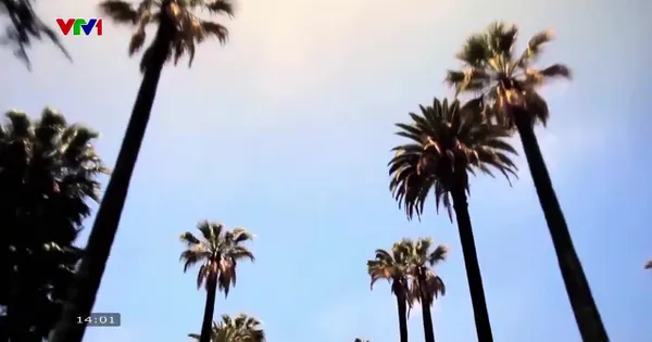 Trái đất xanh - 25/11/2024