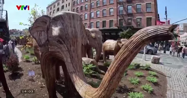 Trái đất xanh - 11/12/2024