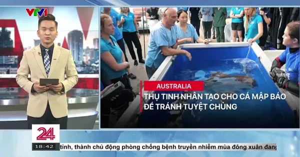 Chuyển động 24h tối - 17/12/2024