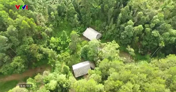 Trái đất xanh - 18/12/2024