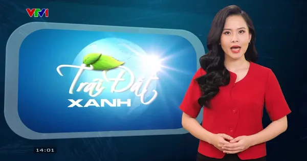 Trái đất xanh - 25/12/2024