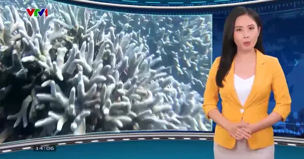 Trái đất xanh - 06/01/2025