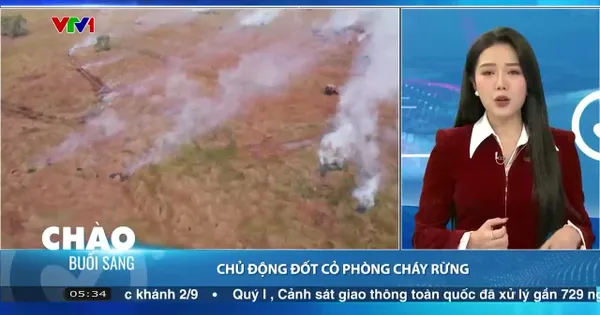 Vườn Quốc gia Tràm Chim chủ động đốt cỏ phòng cháy rừng