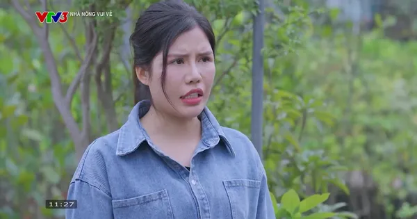 Nhà nông vui vẻ: Những lưu ý khi trồng cây cà chua thân gỗ