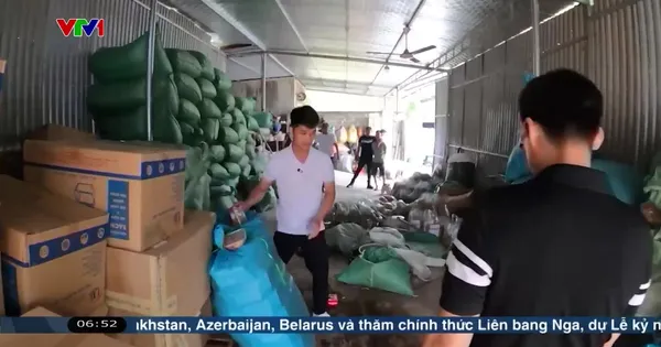 Chiêu trò bán thuốc nam giả trên mạng - Video đã phát trên VTV | VTV.VN