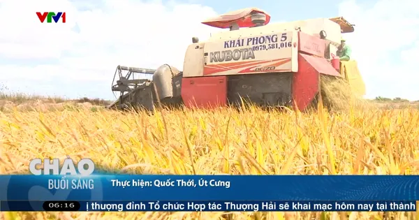 Nghề trồng lúa - hành trình phát triển ngoạn mục