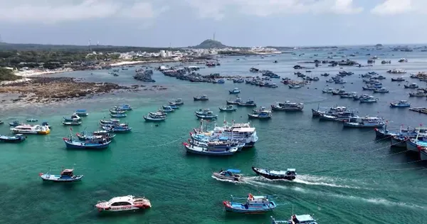 The Point 1: Lifting the IUU Yellow Card: Vietnam’s Determined Effort ...