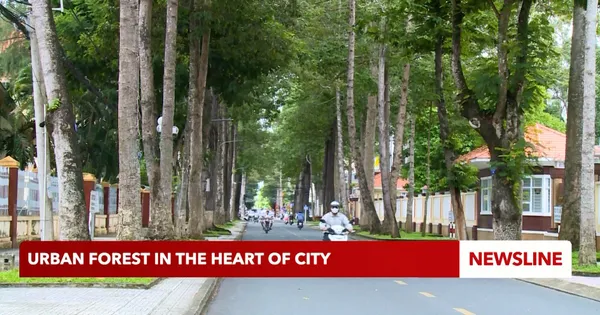 Urban forest in the heart of city