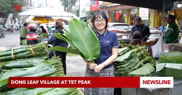 Dong leaf village at Tết peak